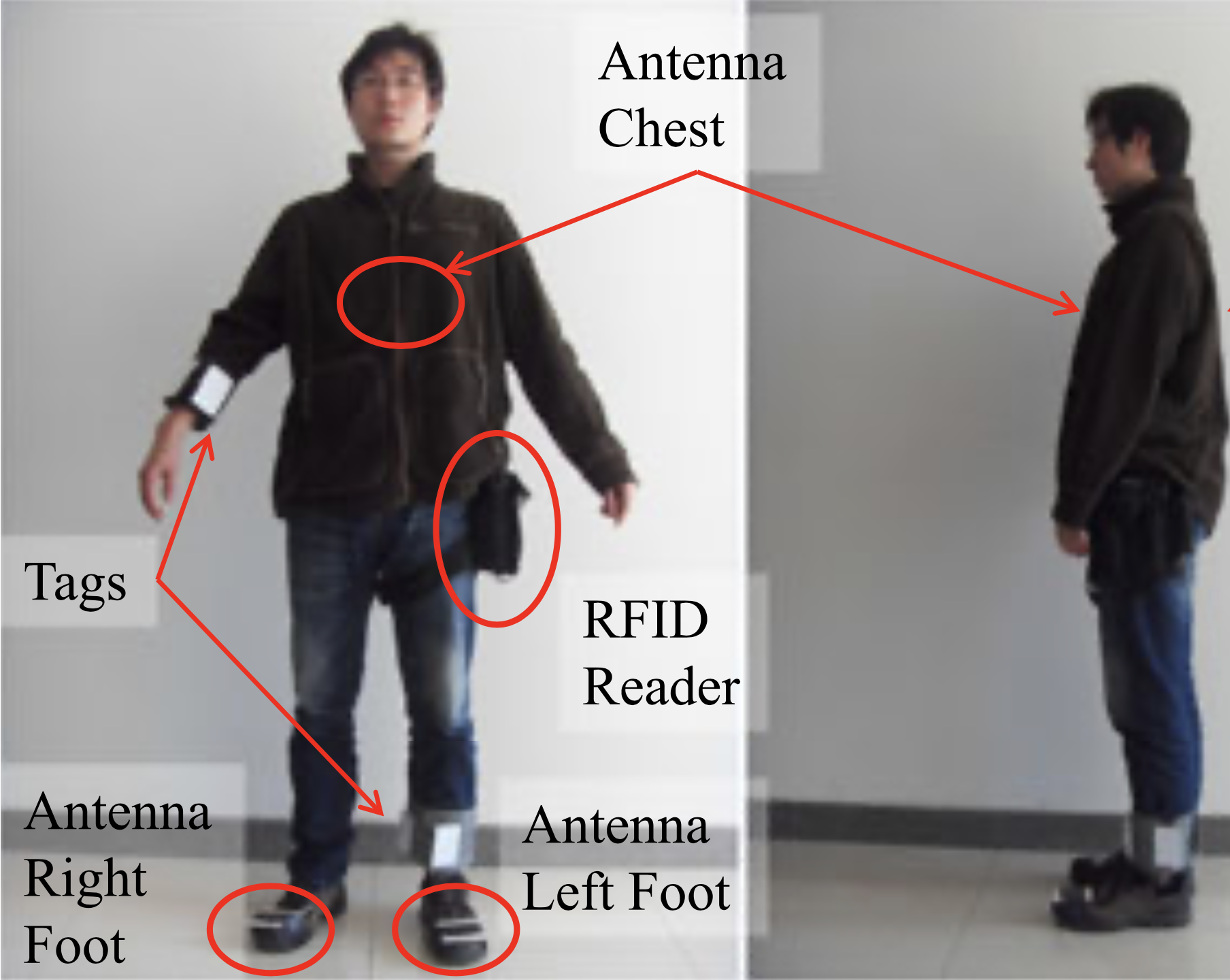 Complex Activity Recognition Using Wearable Sensors Prof Tao Gus
